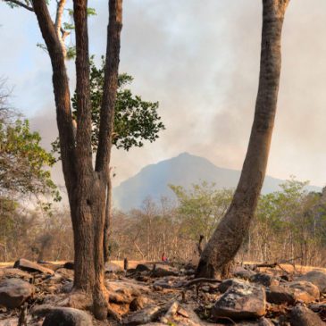 Quand Partir au Laos ? Meilleure Période, Saison des Pluies, Brulis